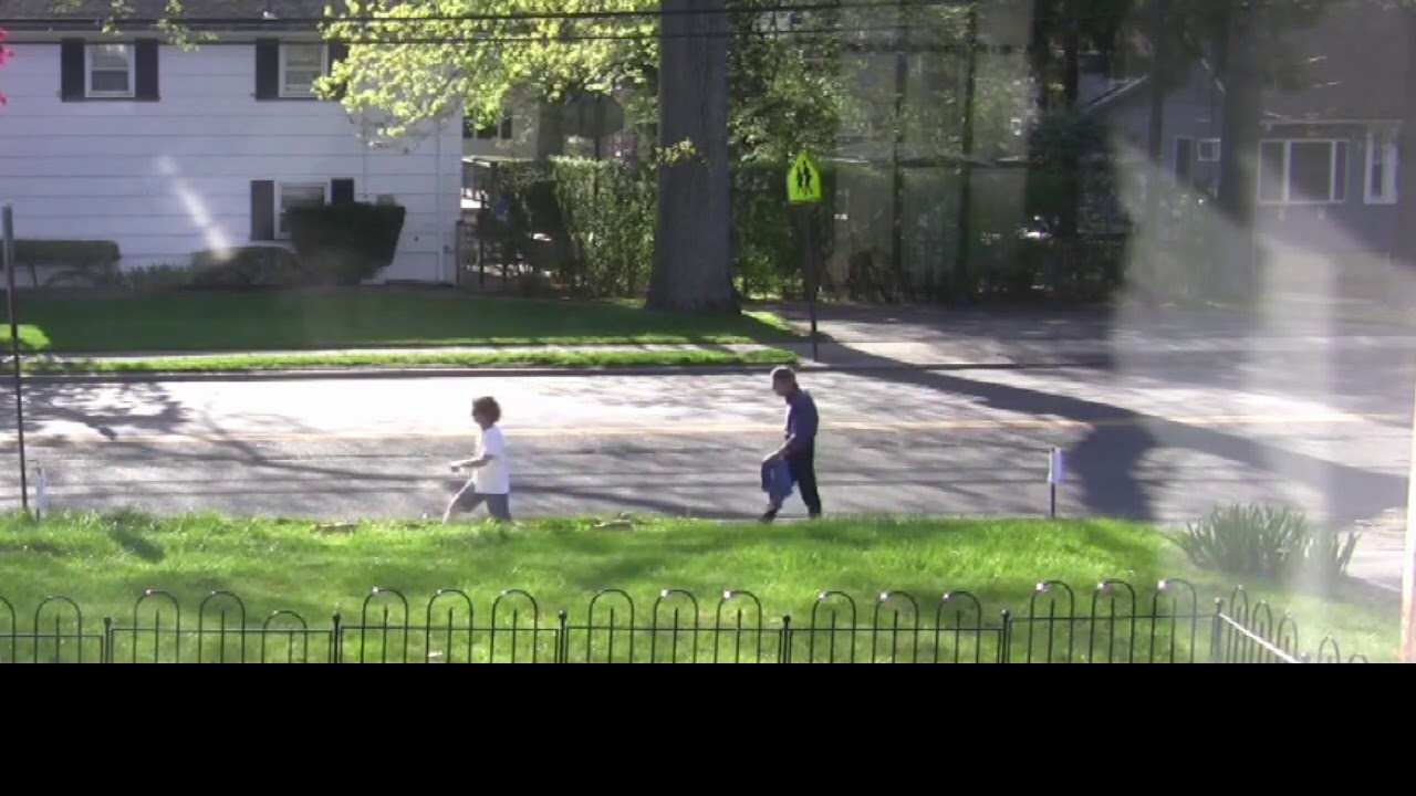 #13 obstacle-tangle-free-leash-marching-slide - YouTube