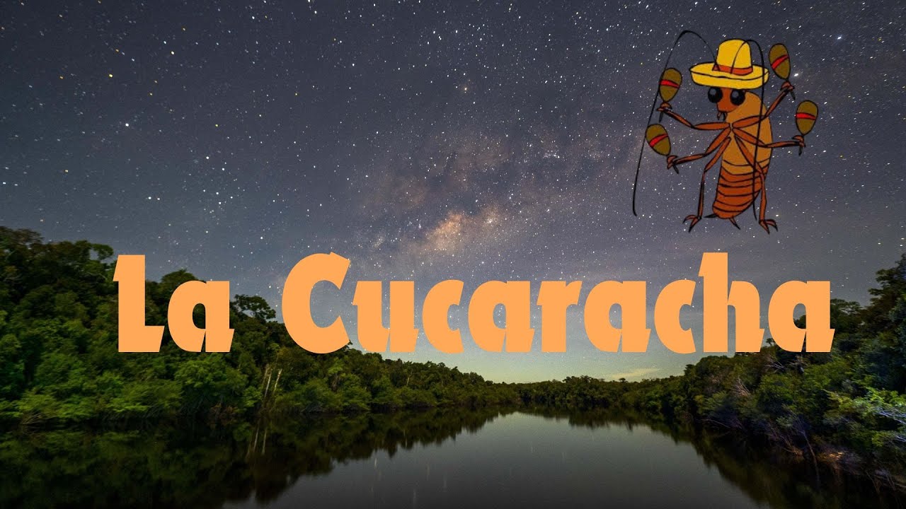 two guys fight for their lives vs a moth and cockroach in the Amazon ...