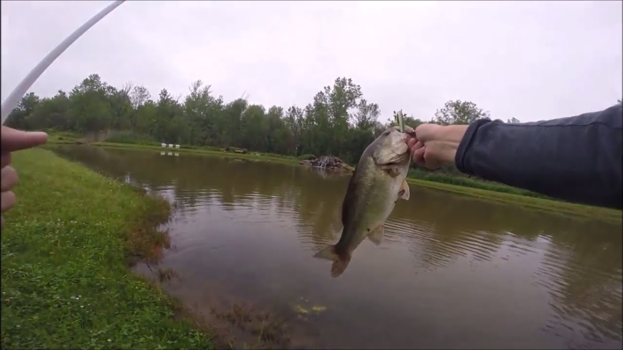 Big bass on the wacky rig: Peanut Butter Bassin' - YouTube