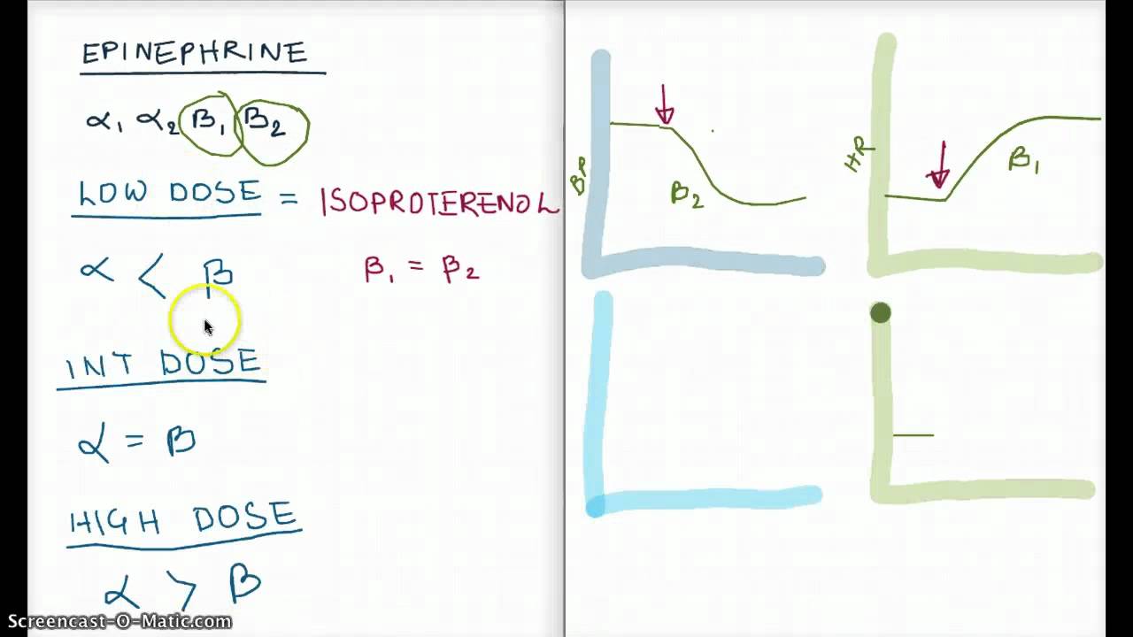 Easy Ways to remember Epinephrine (Low, Int, high Dose) - YouTube