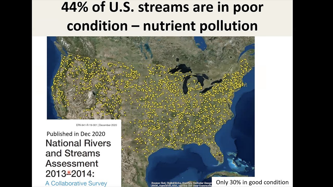 Global change effects on stream ecosystems: Stories of loss and ...
