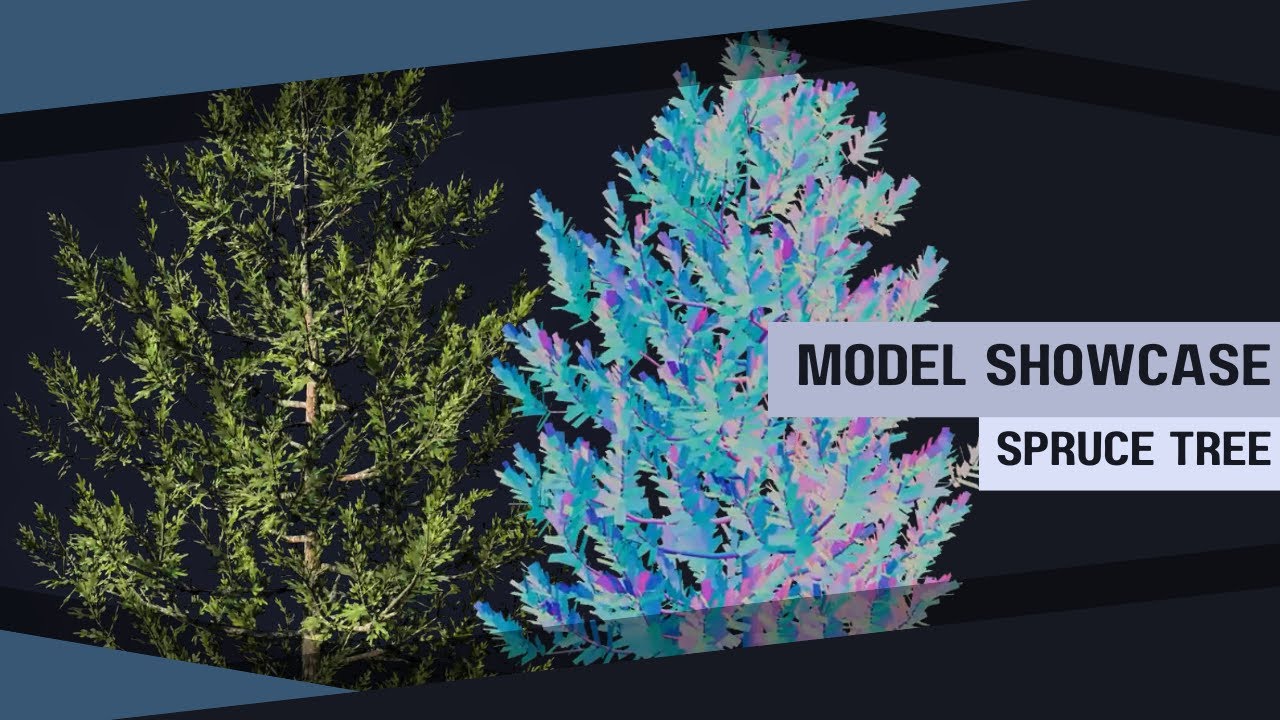 Spruce tree 3D Animation Showcase - YouTube