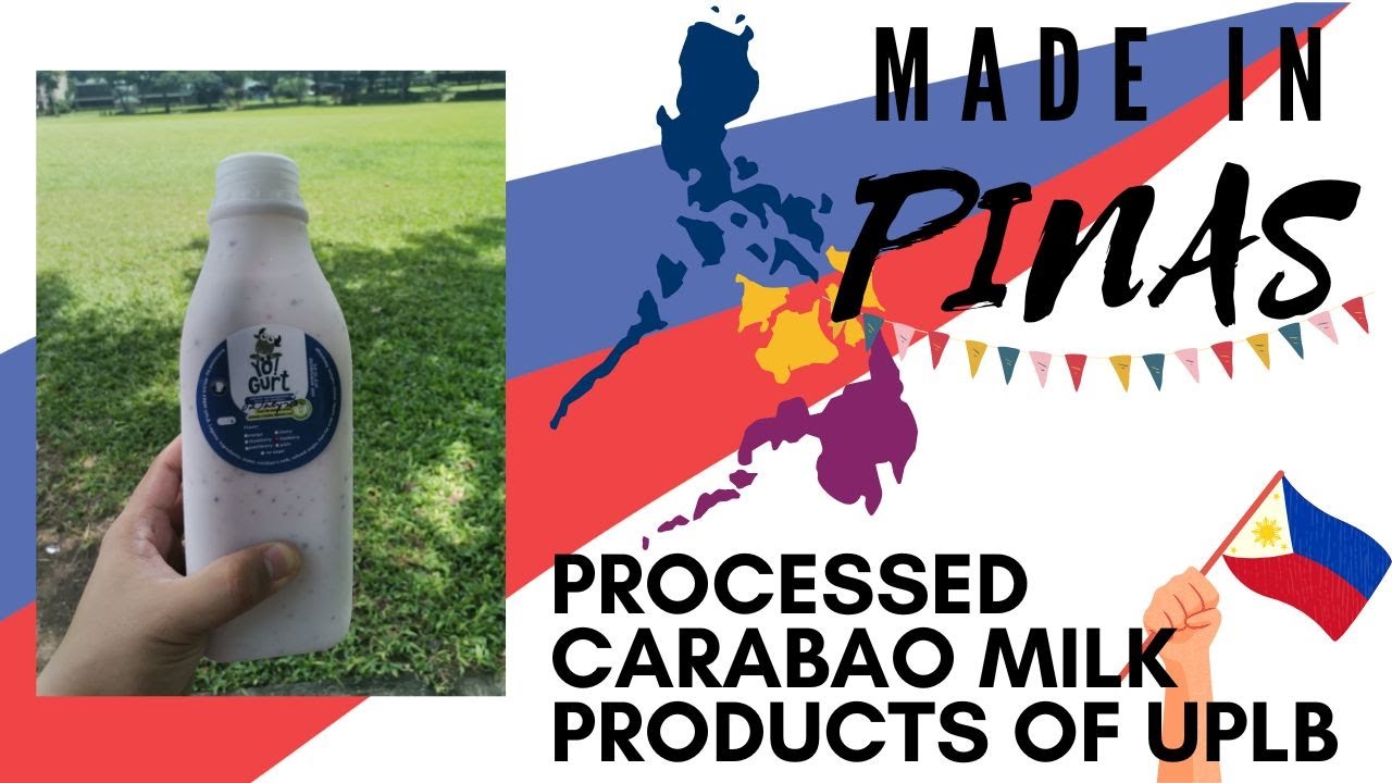 Made in Pinas | Episode 1 Processed Carabao Milk Products in UP Los ...