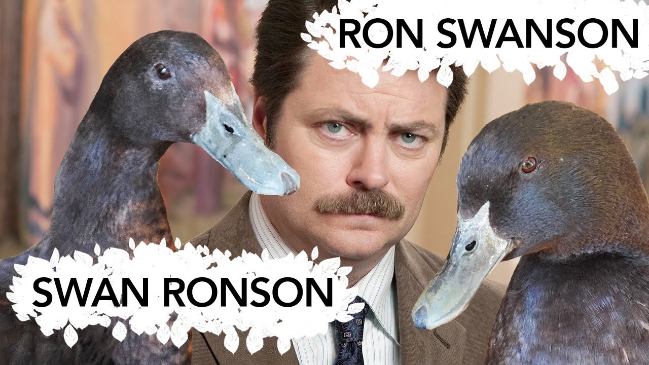 Ron Swanson Meets Her Twin Sister - YouTube