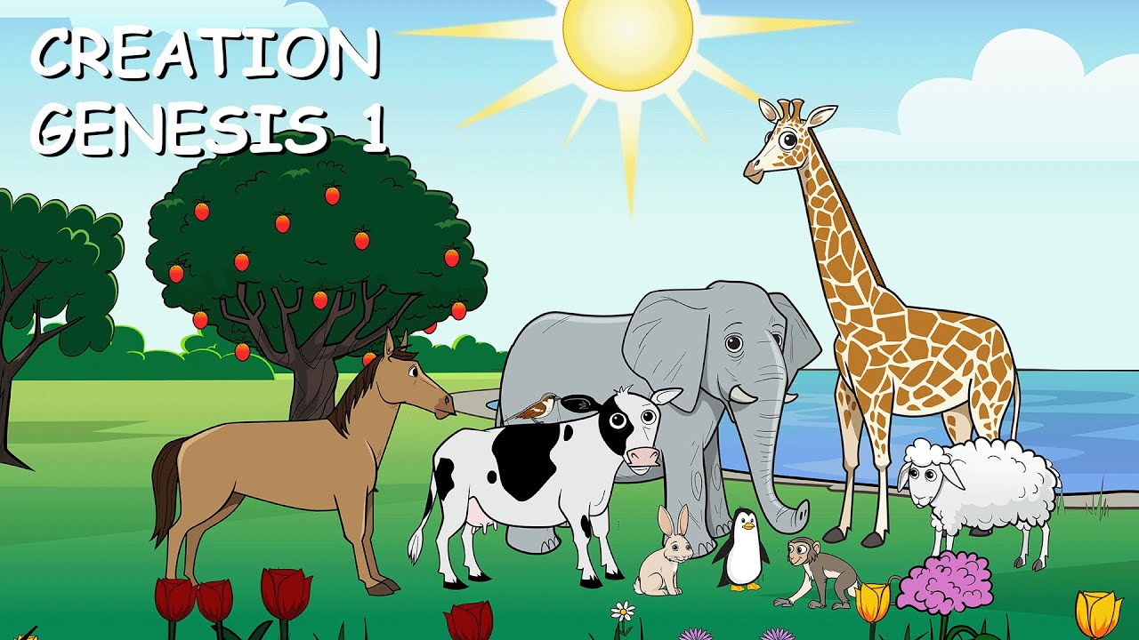 Preschool: Creation, Genesis 1-2 (8/06/2023) - YouTube
