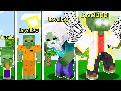 FAKİR ZOMBİ BABA SEVİYELERİ 😱 - Minecraft