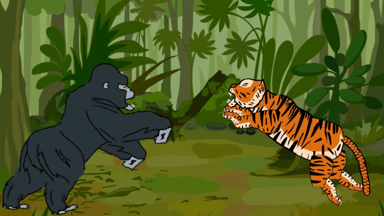 gorilla vs tiger animation —all animation#drc2 #animals - YouTube