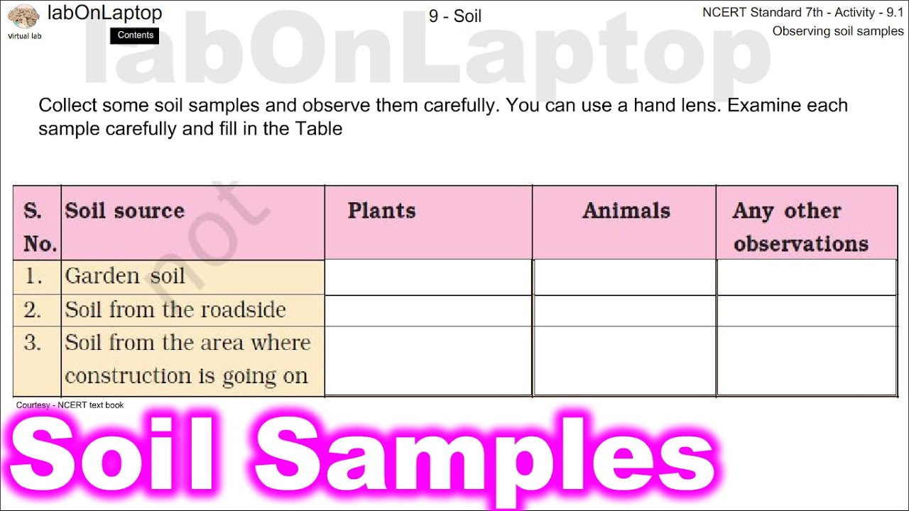 NCERT Class 7th Activity 9.1 | Soil | Soil Samples | labOnLaptop ...