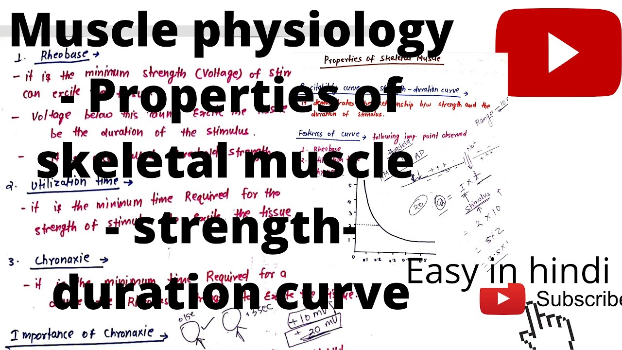 Properties of skeletal muscle/ Excitability curve/ strength- duration ...