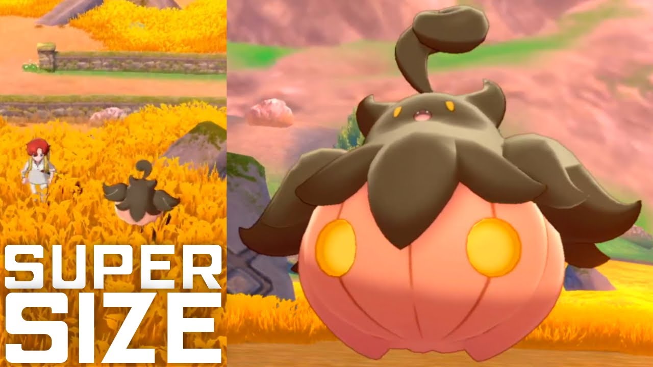 Pumpkaboo Sizes
