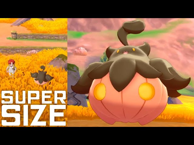 Pumpkaboo Sizes