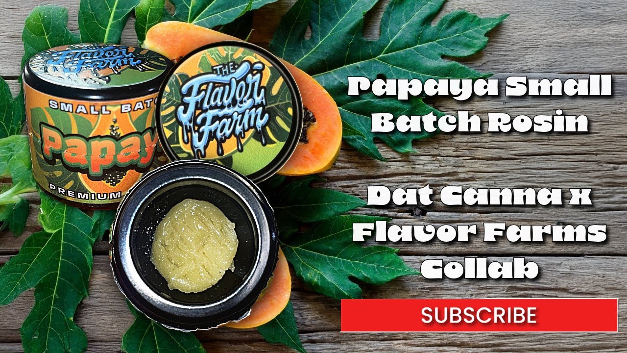 Is This Papaya Rosin Worth It? | Dat Canna x The Flavor Farm Review ...