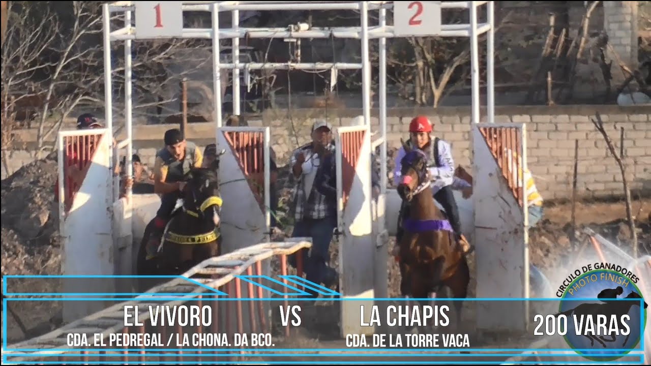 LA CHAPIS CDA. DE LA TORRE VS EL VIVORO CDA. LA CHONA / EL PEDREGAL ...
