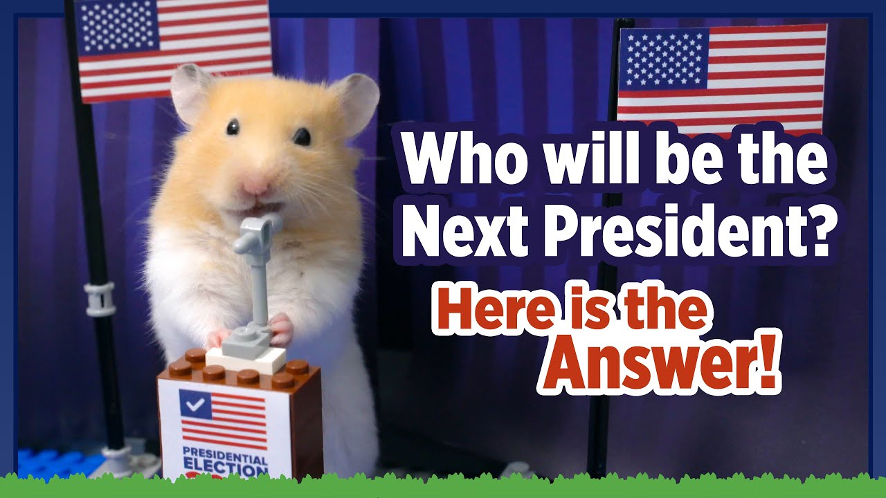 US Presidential Election Prediction by Hamster | Who will be the next ...