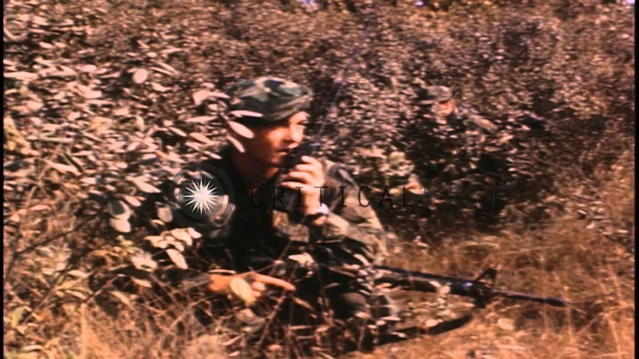 A patrol of US Long Range Patrol 51st Infantry soldiers advances ...
