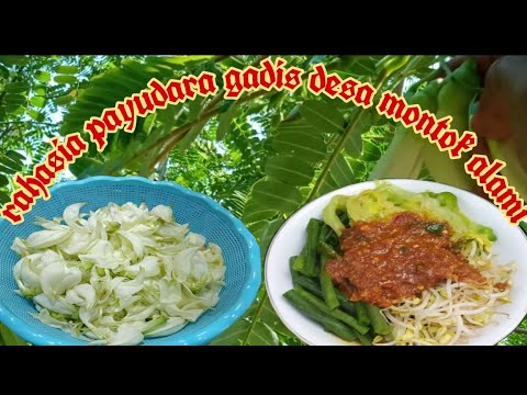 TAK BANYAK YANG TAHU TERNYATA BUNGA TURI BISA BIKIN PAYUDARA MONTOK BERISI