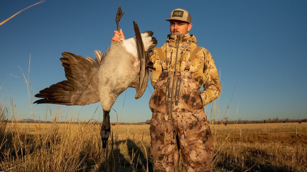 Duck Hunting a Small Farm Pond COVERED with Ducks & Geese | HUNT OF A ...