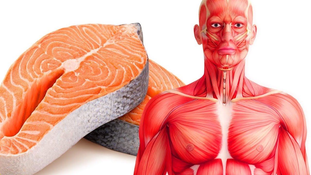 What happens to your body when you eat salmon for 30 days - YouTube