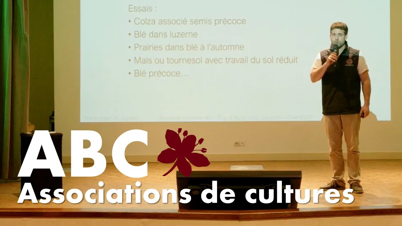 Retour terrain en ABC - Cultures associées - Rencontres ABC 2022 (Laval ...