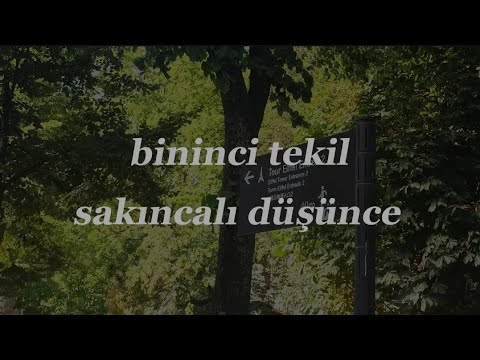 bininci tekil - sakıncalı düşünce lyrics