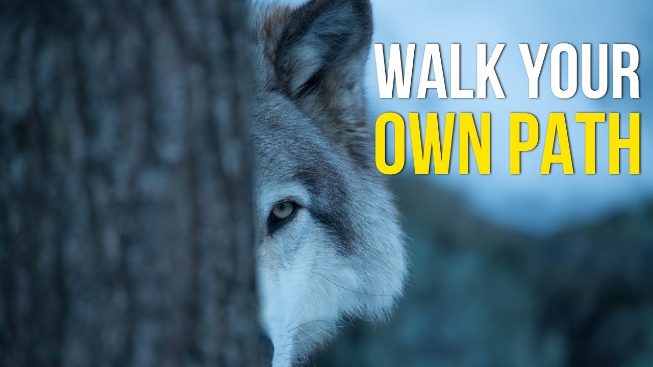 Walk Your Own Path: Lone Wolf Motivation | Embrace Your Unique Journey ...