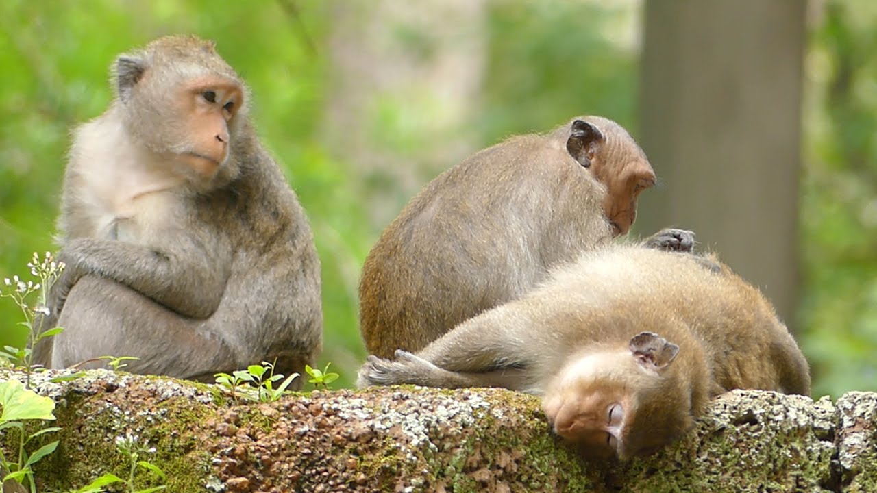 OMG.. Jade Siting Back To Jinx Coz Jealous When Other Come Breaking ...