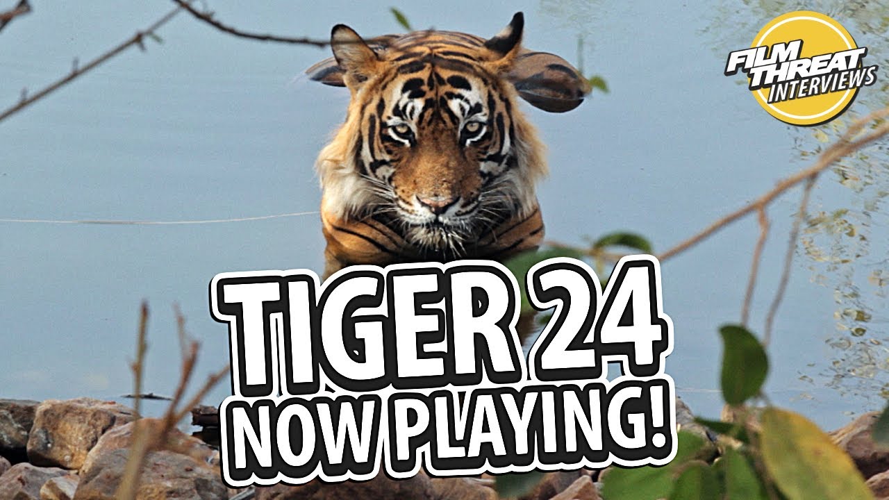 NOW PLAYING! "TIGER 24" DIRECTOR WARREN PEREIRA | Film Threat ...