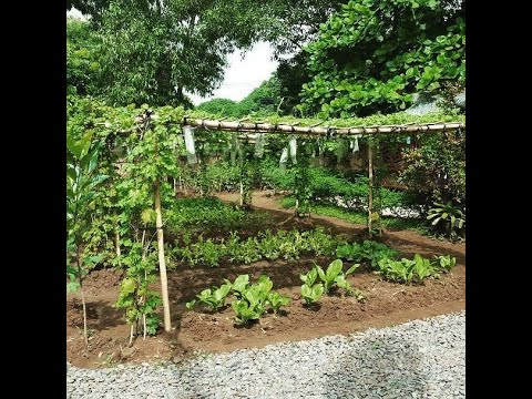 GULAYAN SA BUKID - YouTube