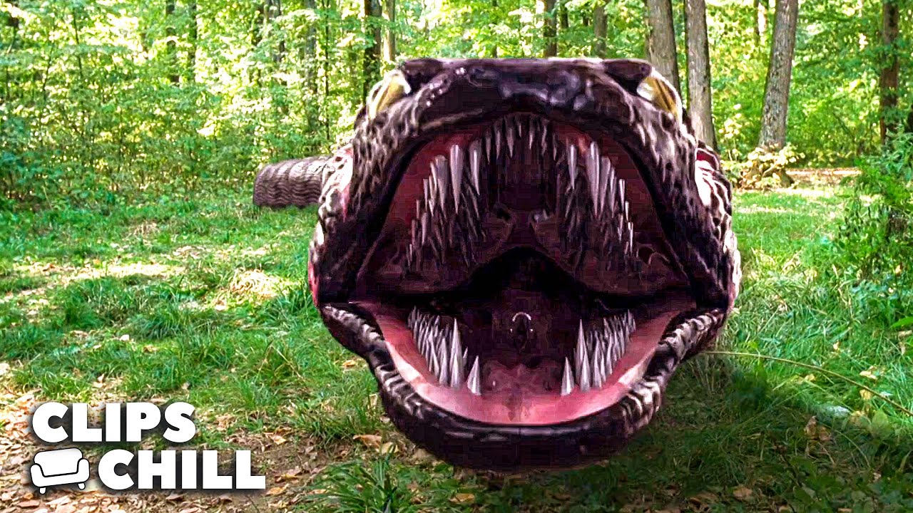 Intense Confrontation In The Jungle | Anaconda 3: Offspring - YouTube