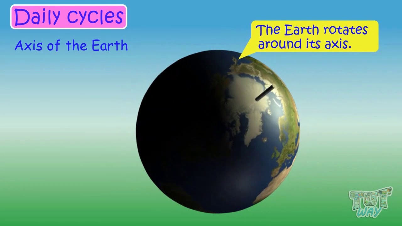 Daily cycles in our life | Science | Grade-2,3 | TutWay | - YouTube