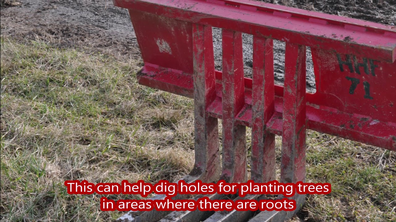 How we remove large roots to plant new trees - YouTube
