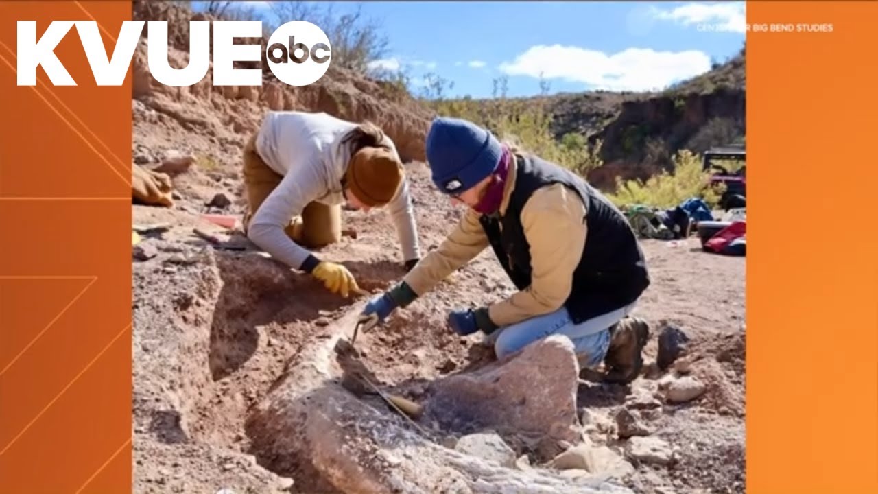 Rare mammoth tusk discovered in West Texas - YouTube