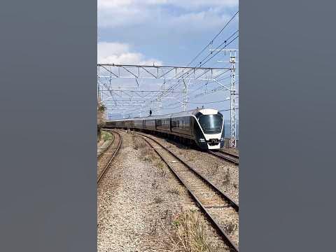 🟦E261系 S踊り子 - YouTube