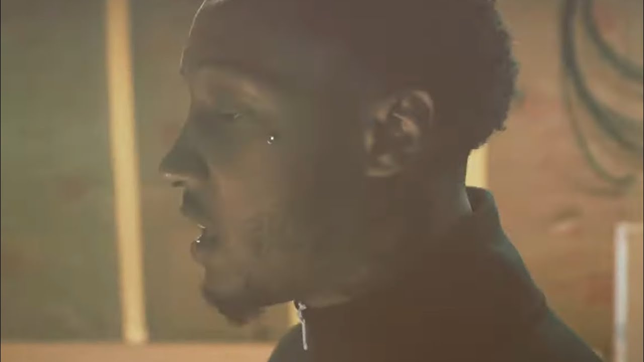 Prince Picasso- Whole Lotta (Official Music Video) - YouTube