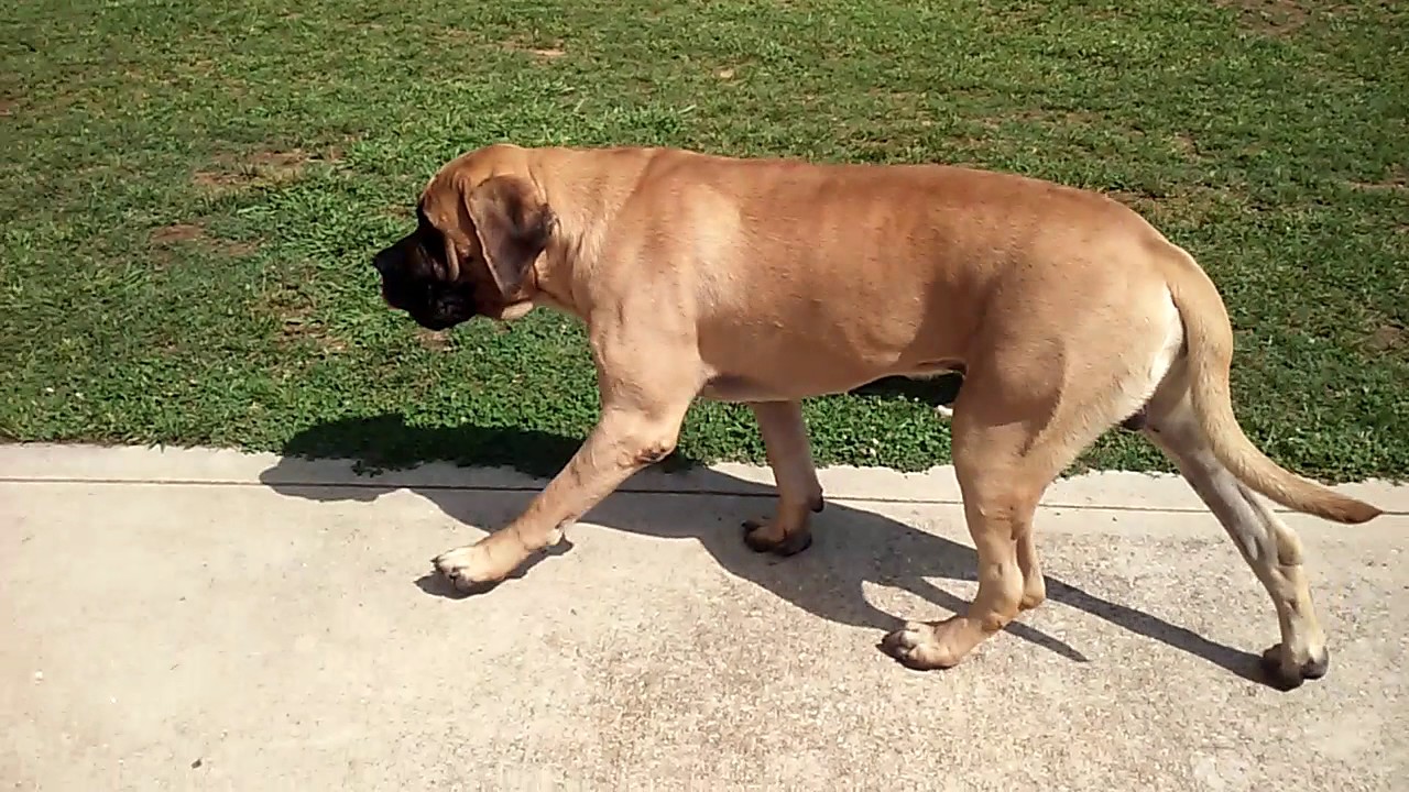 Clay (daddy) with babies - YouTube