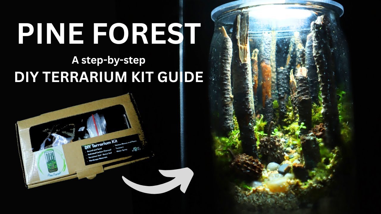 Pine Forest Terrarium | A Beginner's DIY Terrarium Kit Unboxing and ...