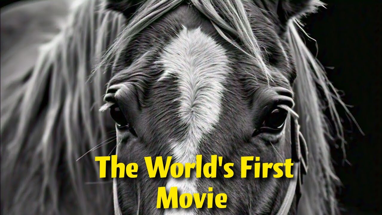 What was the First Movie Ever Made?| The Horse in Motion (1878) - YouTube