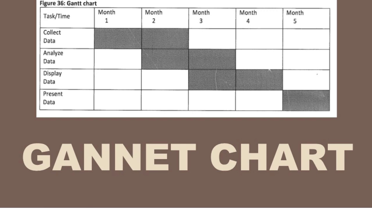 Gannet chart / CPHQ / Quality - YouTube