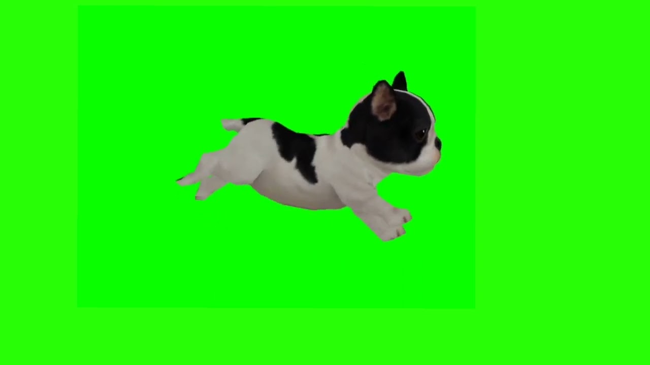 doggy cartoon maker green screen video effects and animation ultra ...