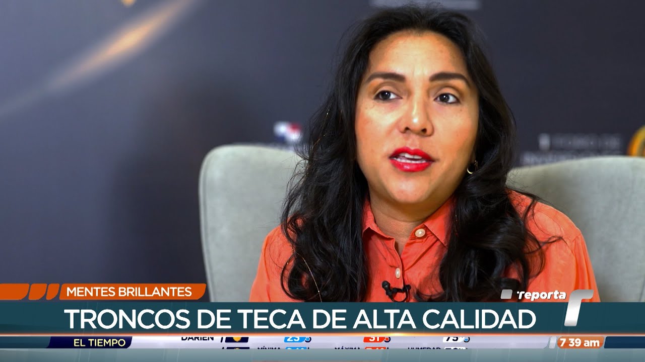 Mentes Brillantes: Bianca Morán, empresaria - YouTube