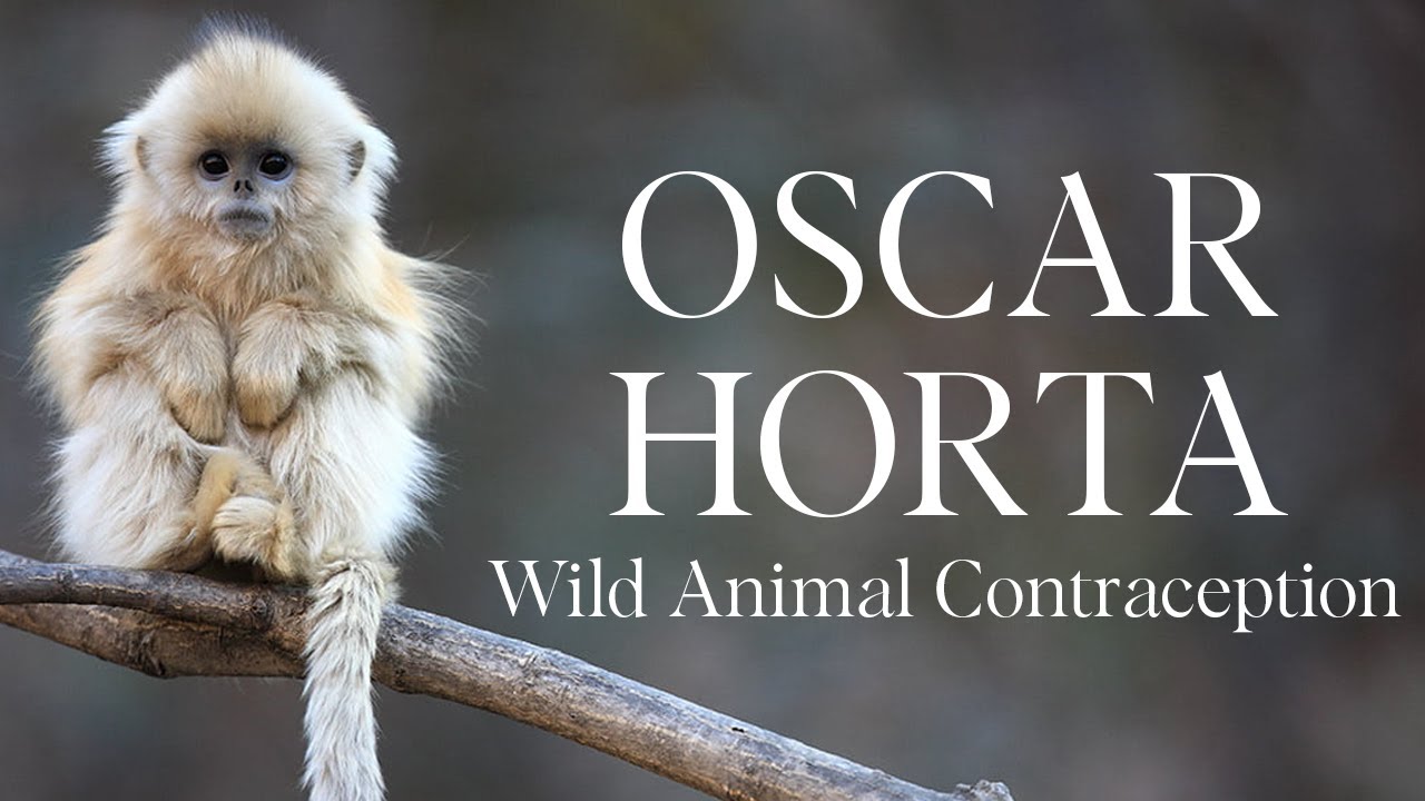 Wild Animal Contraception | Oscar Horta - YouTube