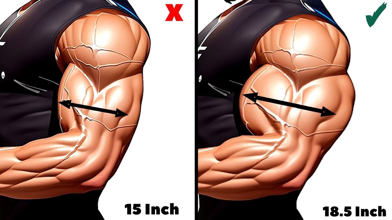 Best Bicep Tricep Workout For Muscular Gains Science Based Youtube