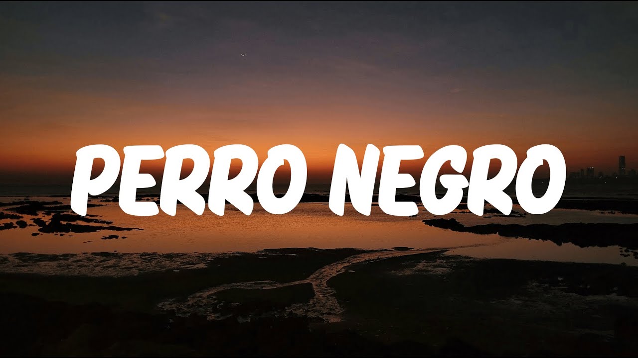 Bad Bunny x Feid - PERRO NEGRO (Letra/Lyrics) - YouTube