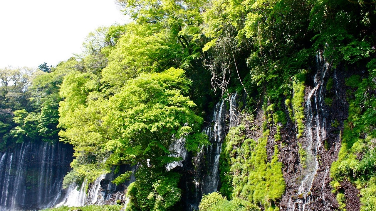 HOT NEWS Yachimata 2017 Best Of Yachimata Japan Tourism - YouTube