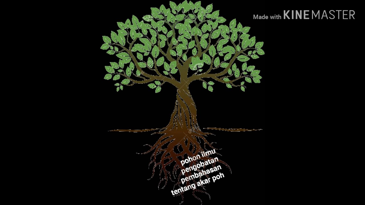 Pohon ilmu di bidang pengobatan holistik - YouTube