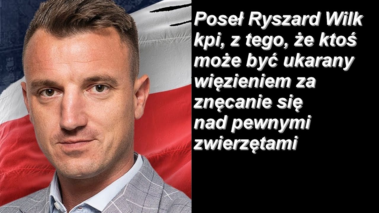 Poseł Wilk kpi ze sprawy znęcania się nad zwierzęciem - YouTube
