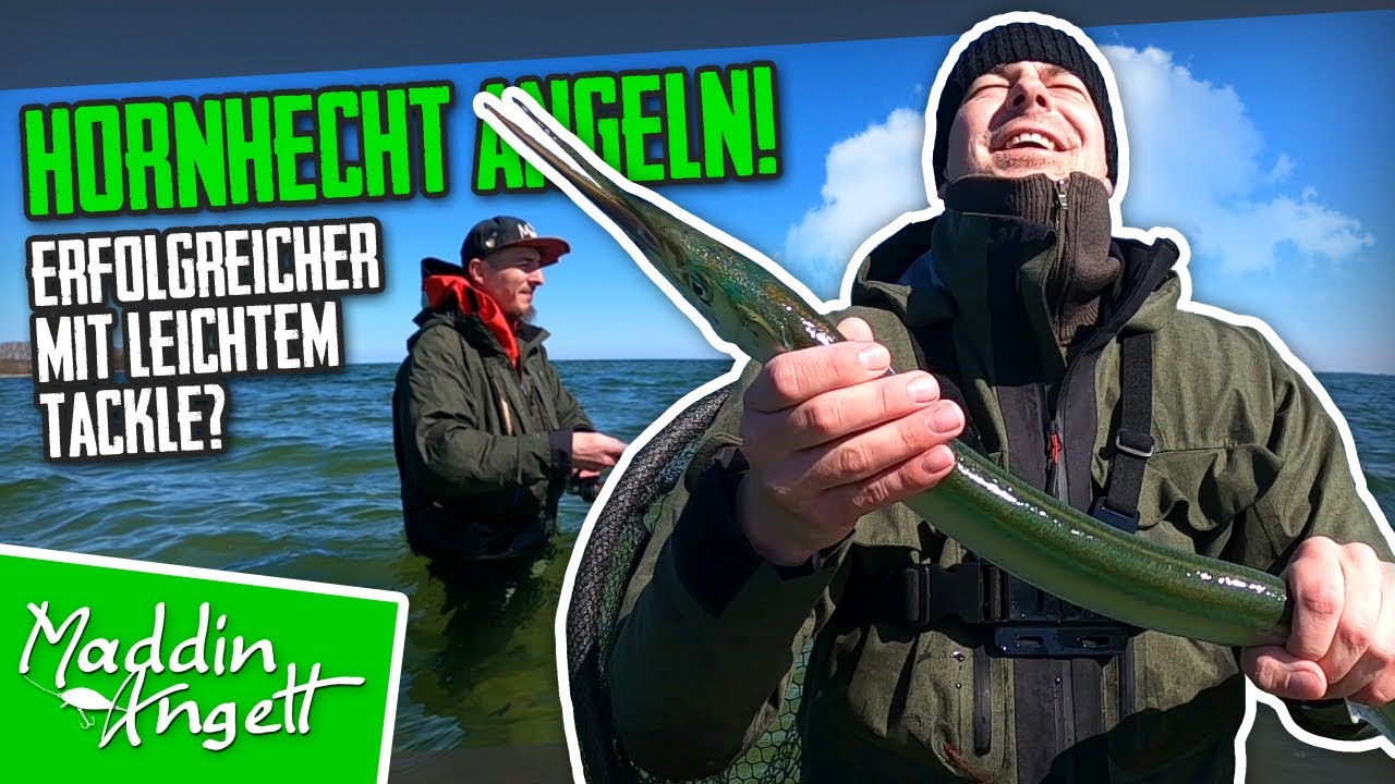 Erfolgreich Angeln auf Hornhecht im Bodden! - YouTube