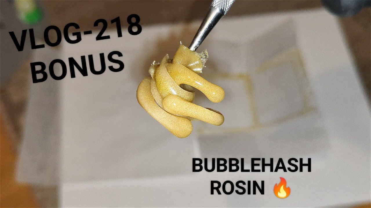 BONUS Dosi Banana Bubblehash Pressing The 73 Micron Resin Into Rosin ...