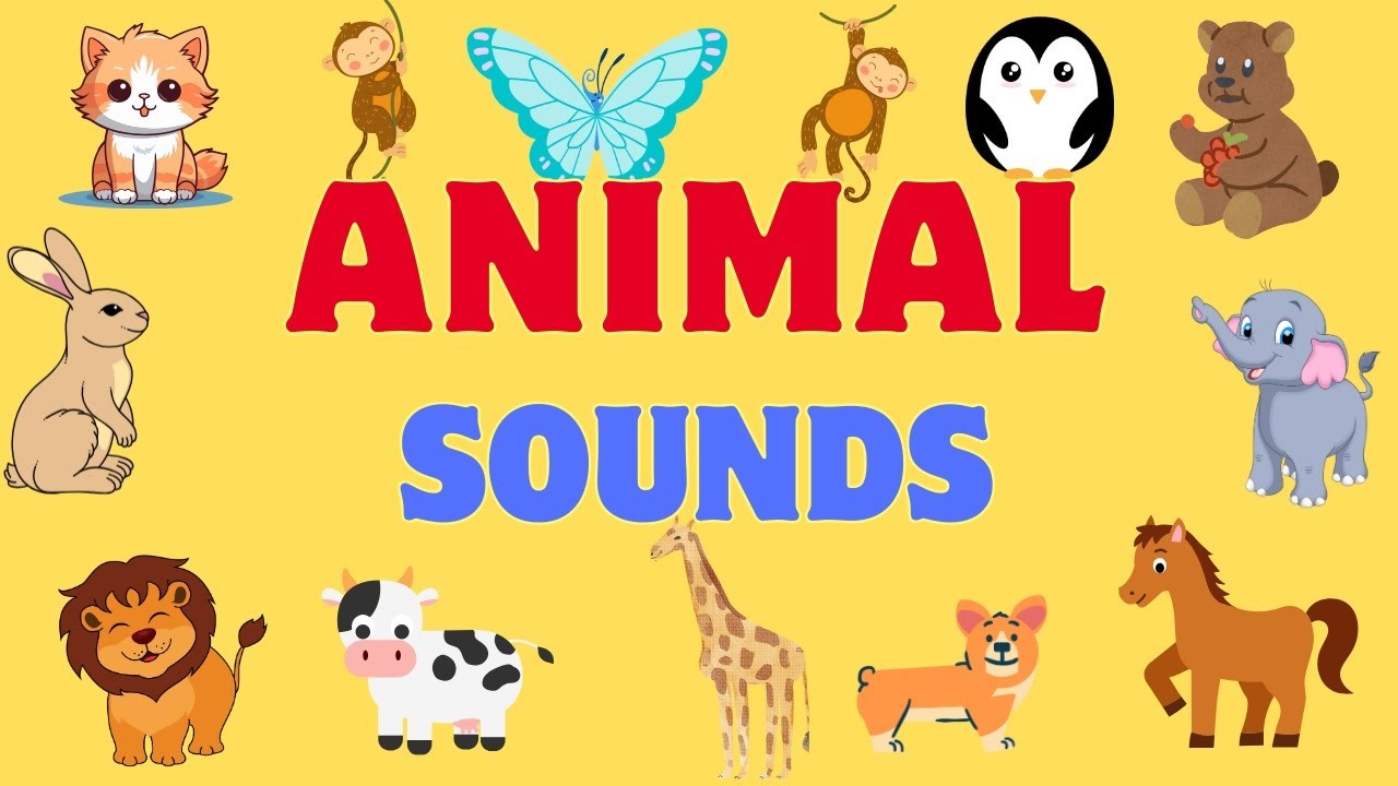 Laugh and Learn Animal Sounds - Educational Baby Fun - YouTube