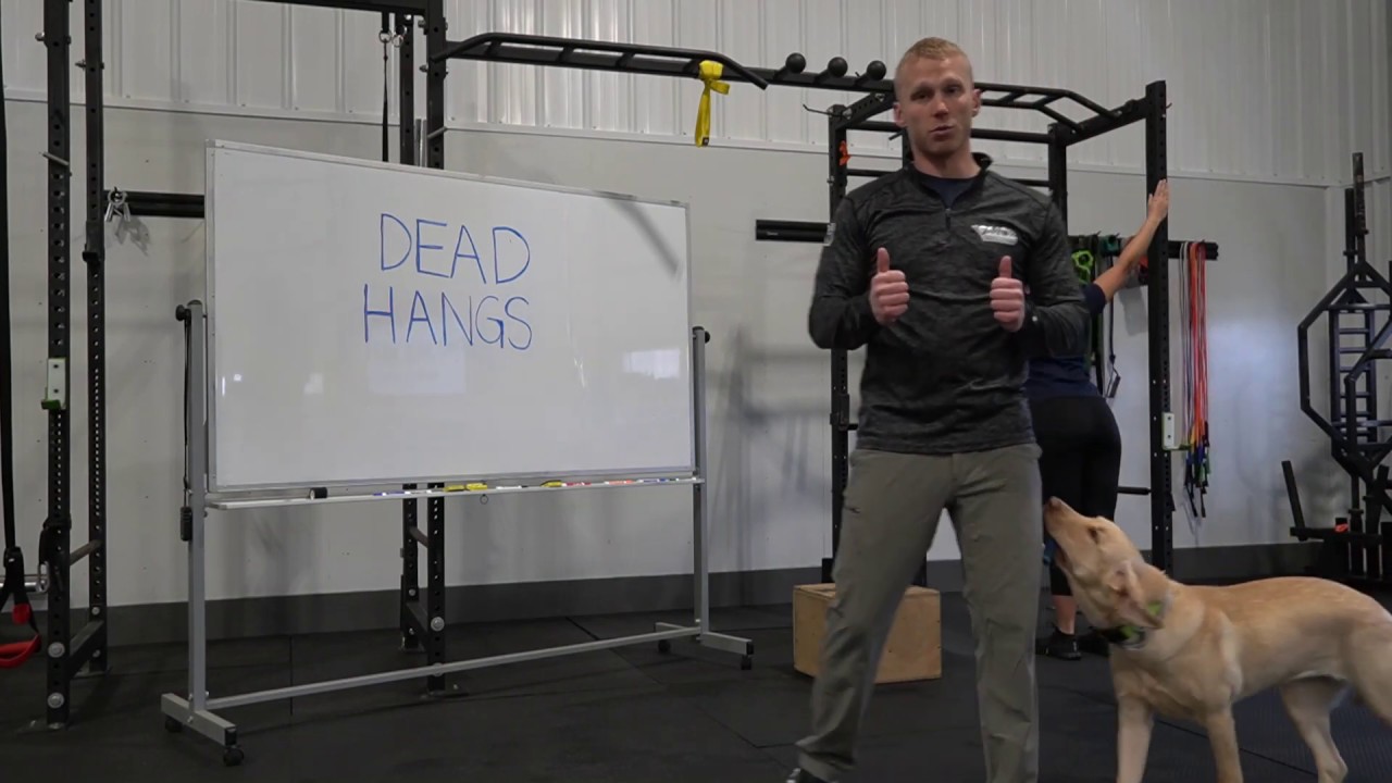 Grip/Spinal Decompression: Dead Hangs - YouTube